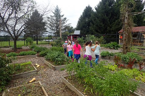 Scouts – Outdoor Learning Center at Horizons