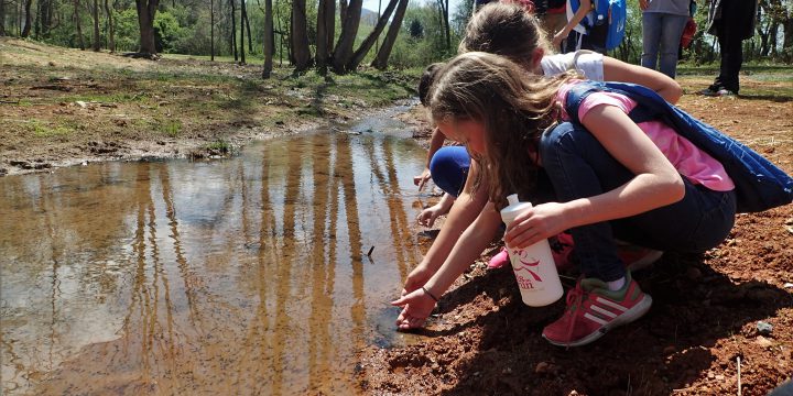 K-12 Schools – Outdoor Learning Center at Horizons